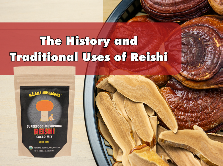 Unveiling Reishi: Ancient Medicinal Uses & Historical Insights | Malama ...